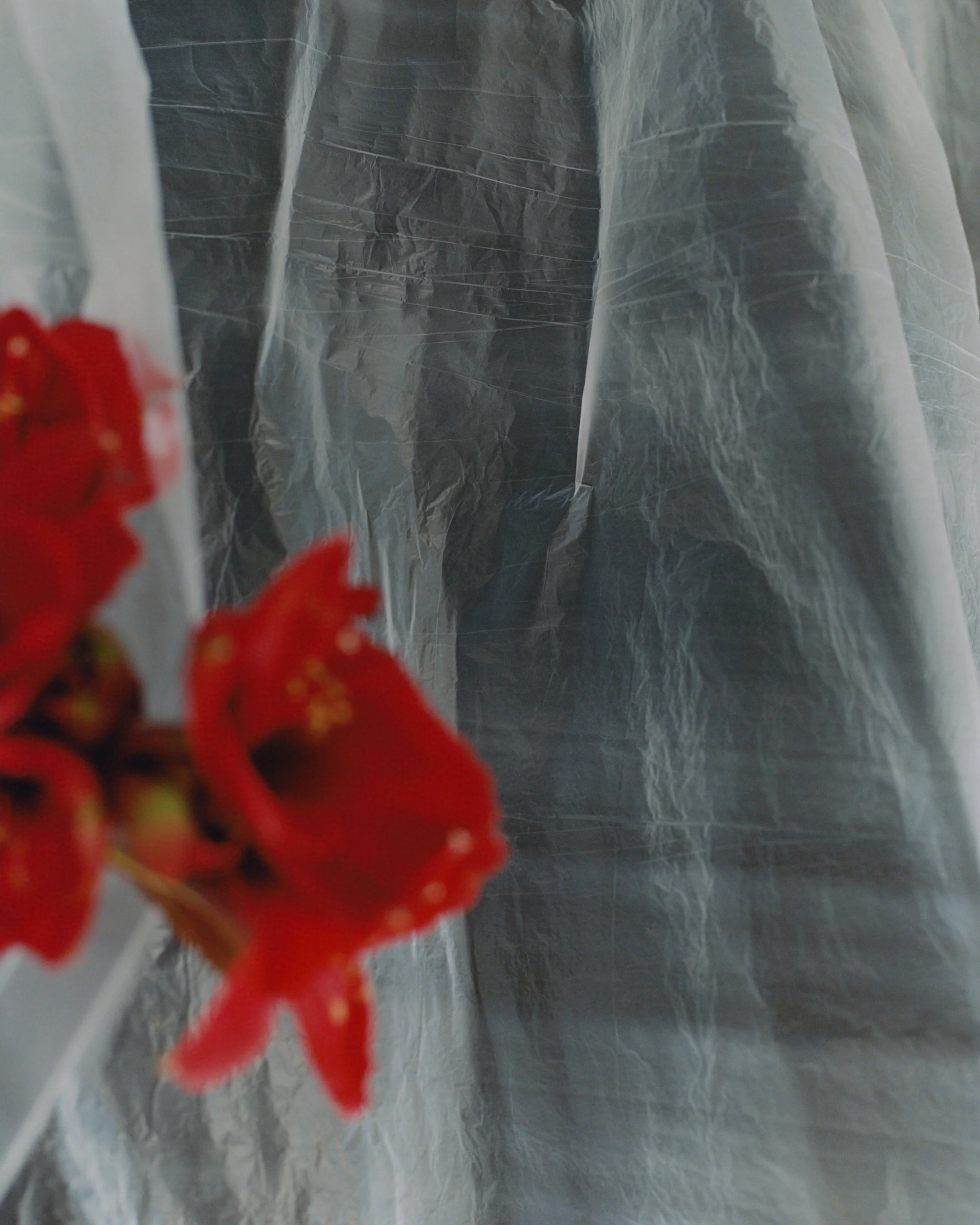 BRYONY EDWARDS SET DESIGN