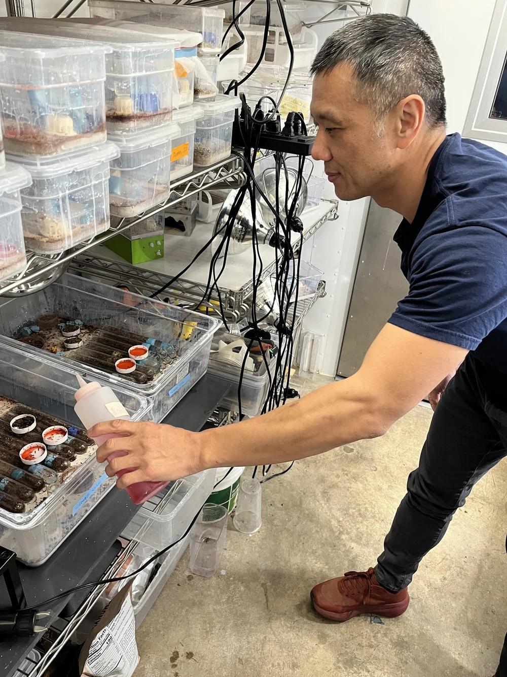 Meet Caltech Ant Wrangler John Truong, Who Used to Animate Pixar Movies ...