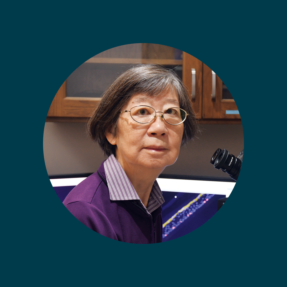 Meet the 2024 Distinguished Alumni — Caltech Magazine