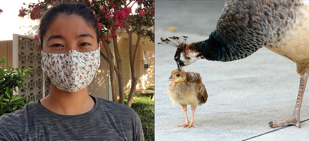 #CaltechTogether: Renée Wang — Caltech Magazine