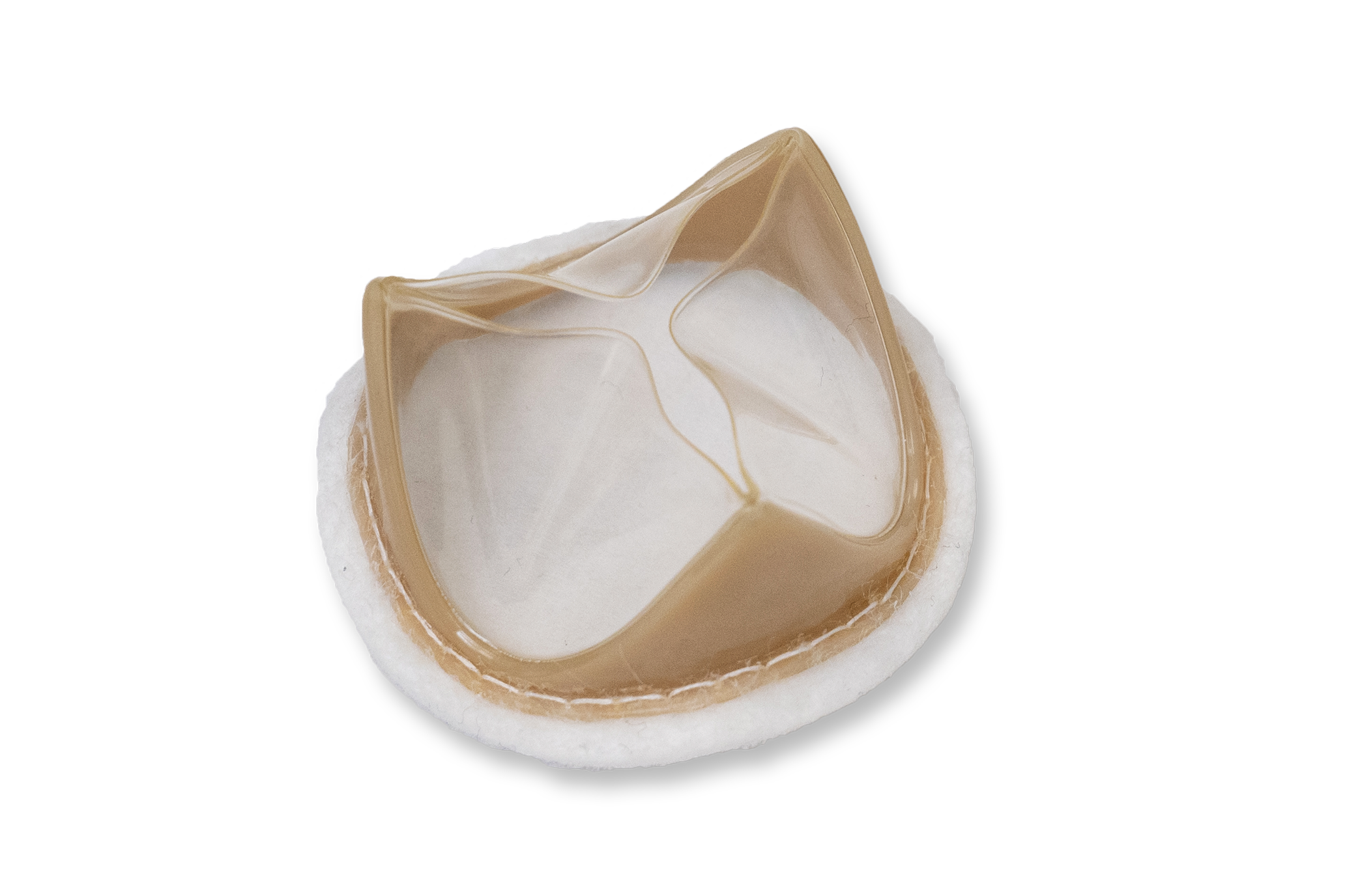 Ripples From the Heart — Caltech Magazine
