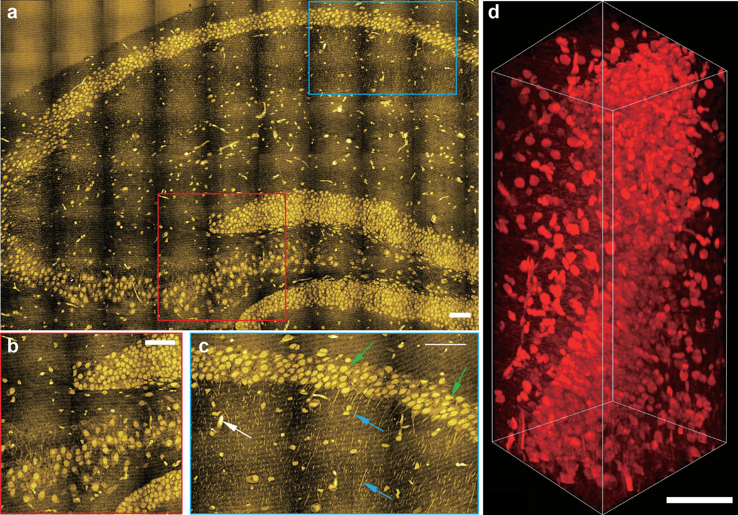 New Points of View: Caltech Imaging Research Reveals the Unseen ...