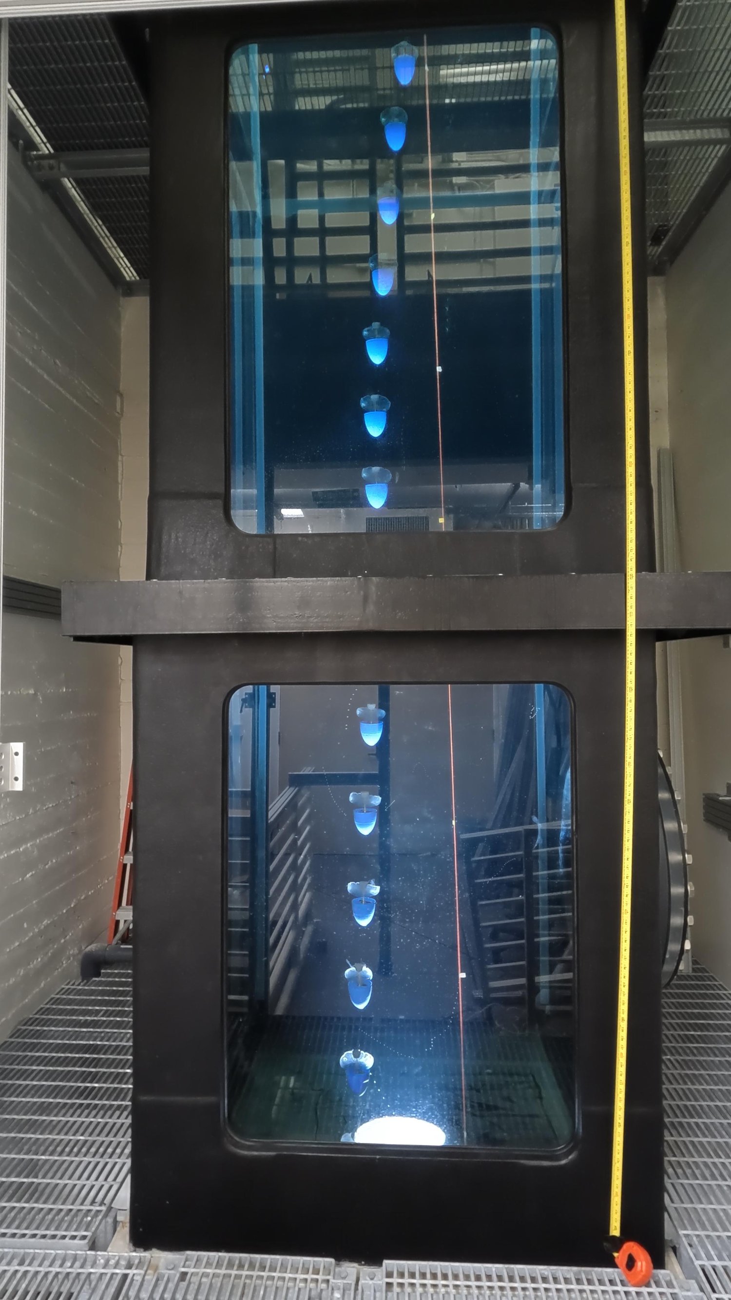 So You Decided to Build a Jellyfish Treadmill — Caltech Magazine