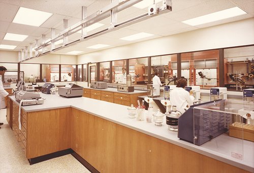 Memories Clifford S. and Ruth A. Mead Memorial Undergraduate Chemistry ...