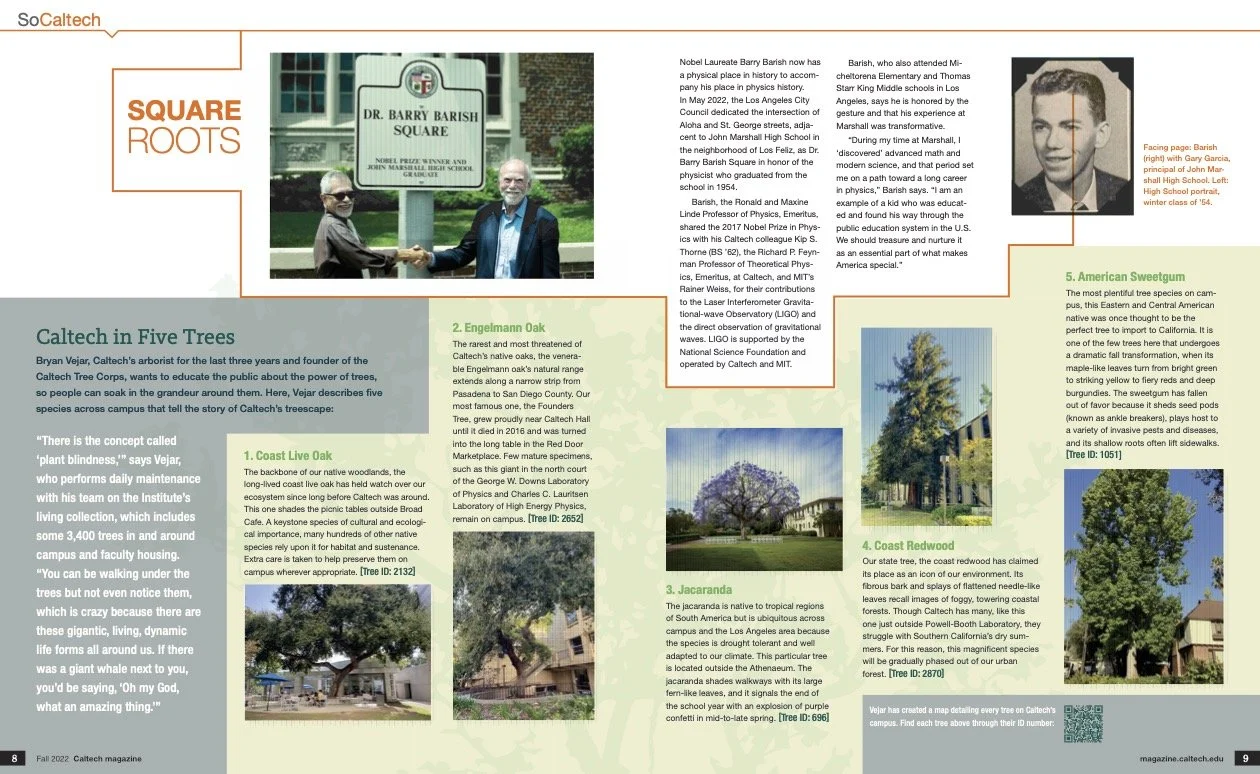 Caltech Arborist Bryan Vejar: He Speaks for the Trees — Caltech Magazine
