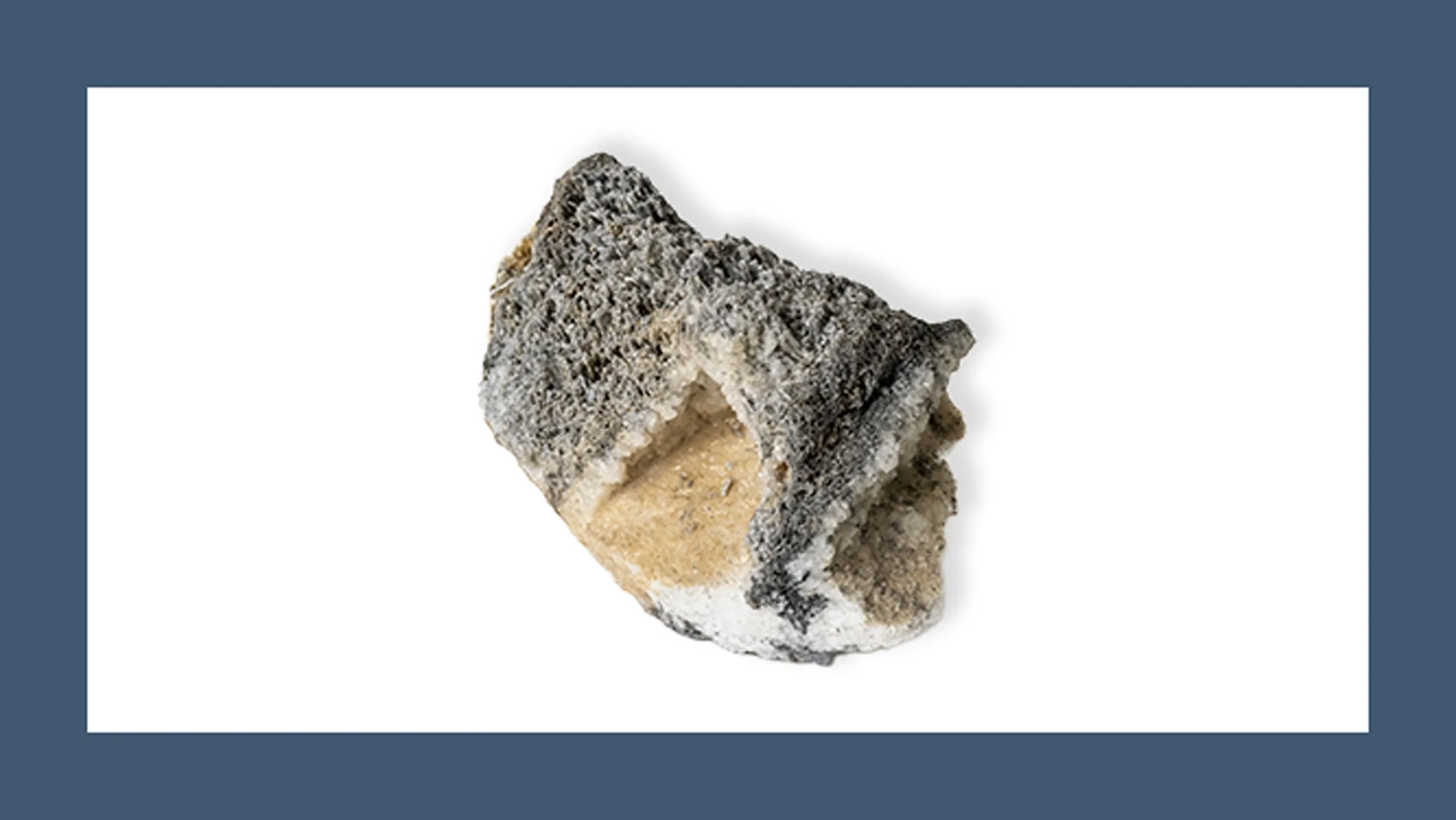 Treasures From the Deep: What Victoria Orphan Keeps In her Office ...