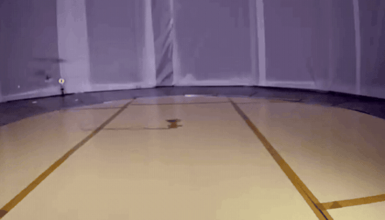 How the Ingenuity Helicopter Learned to Fly on Mars — Caltech Magazine