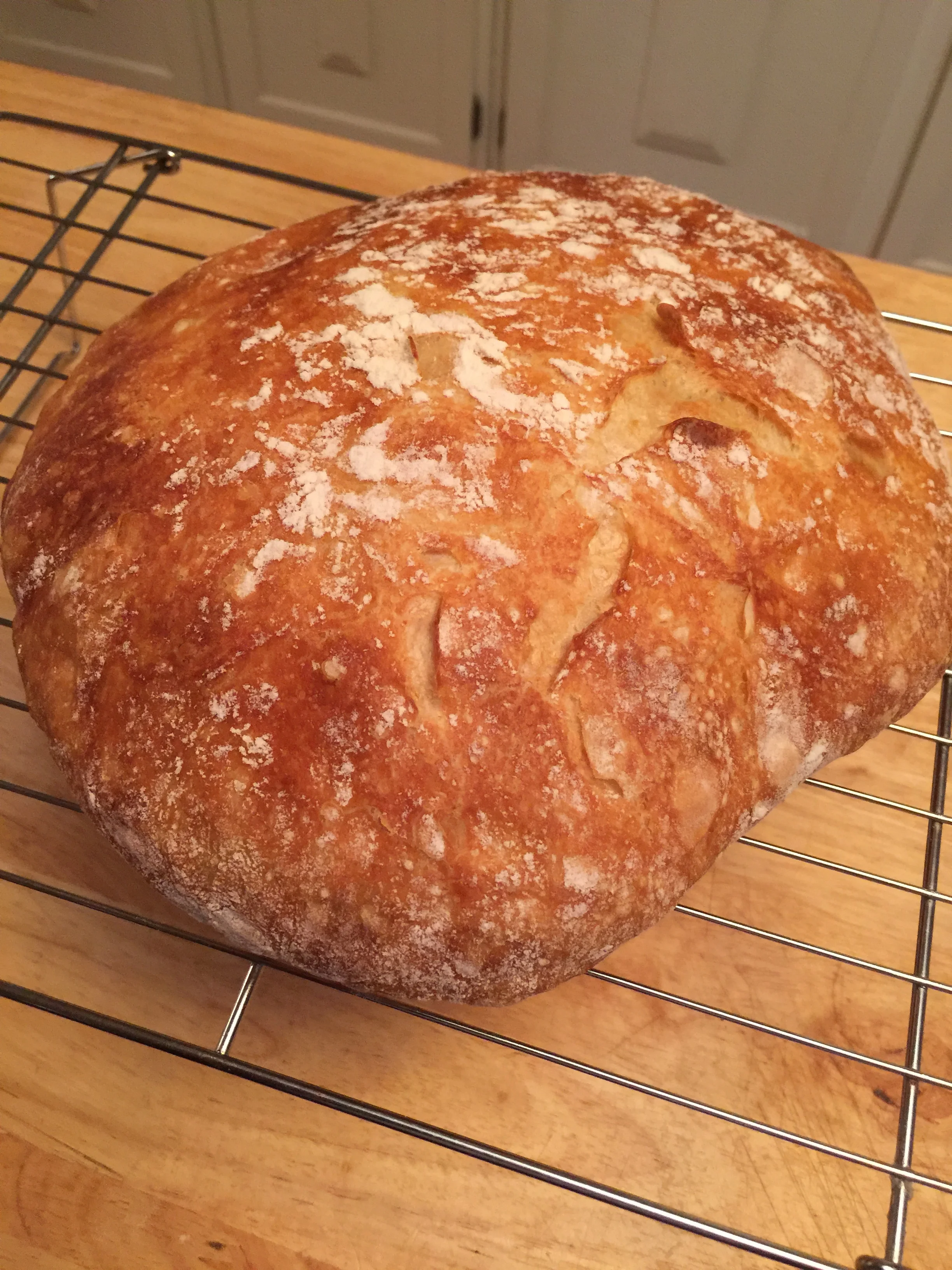 Simple and Sublime- Easy yet excellent bread — Radical Gastronomy