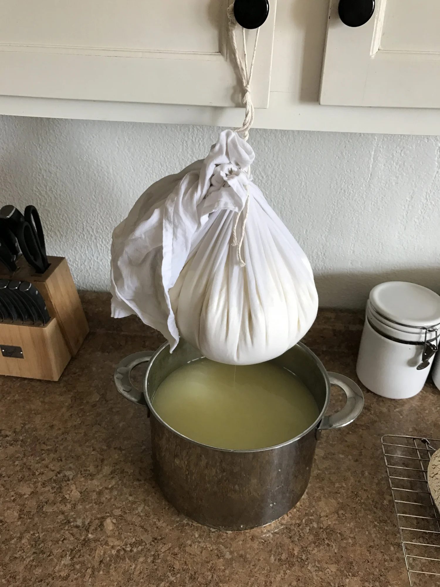 Feta — Radical Gastronomy