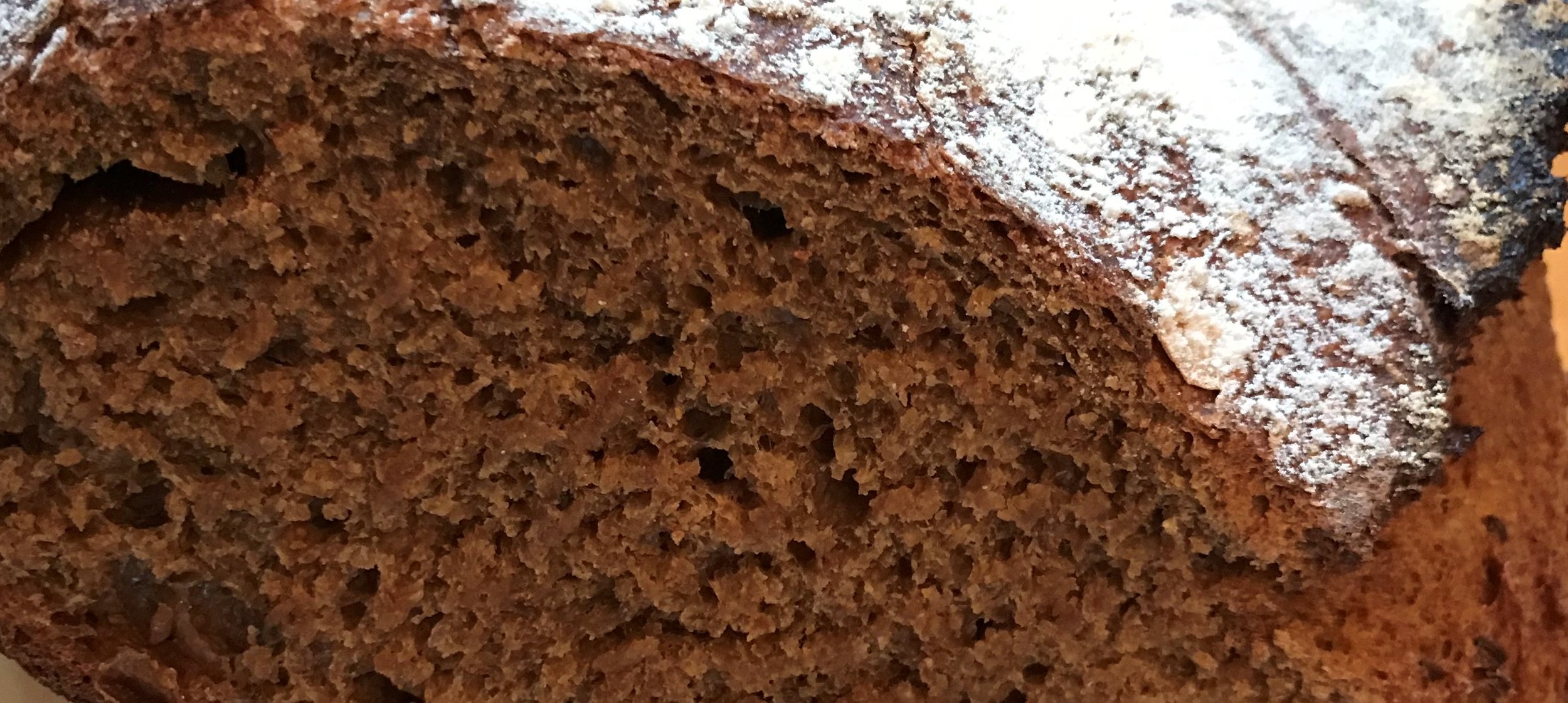 Pumpernickel — Radical Gastronomy