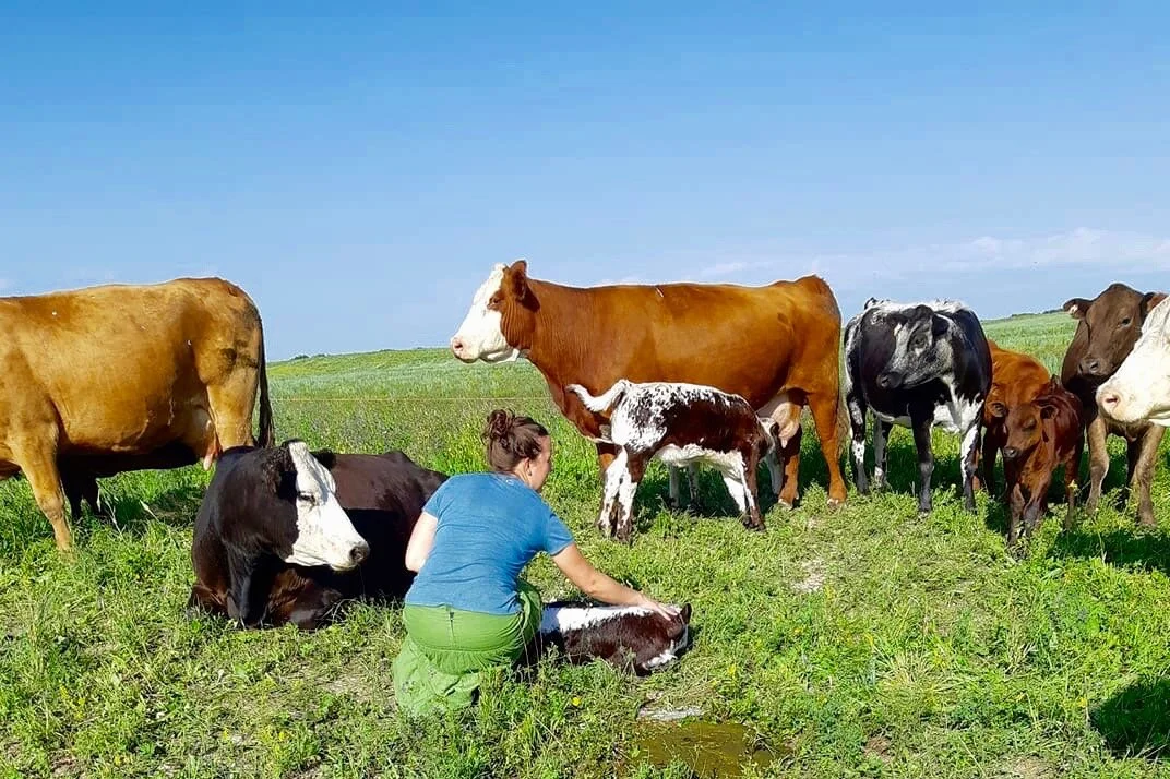 Our Family — New Life Organic Foods