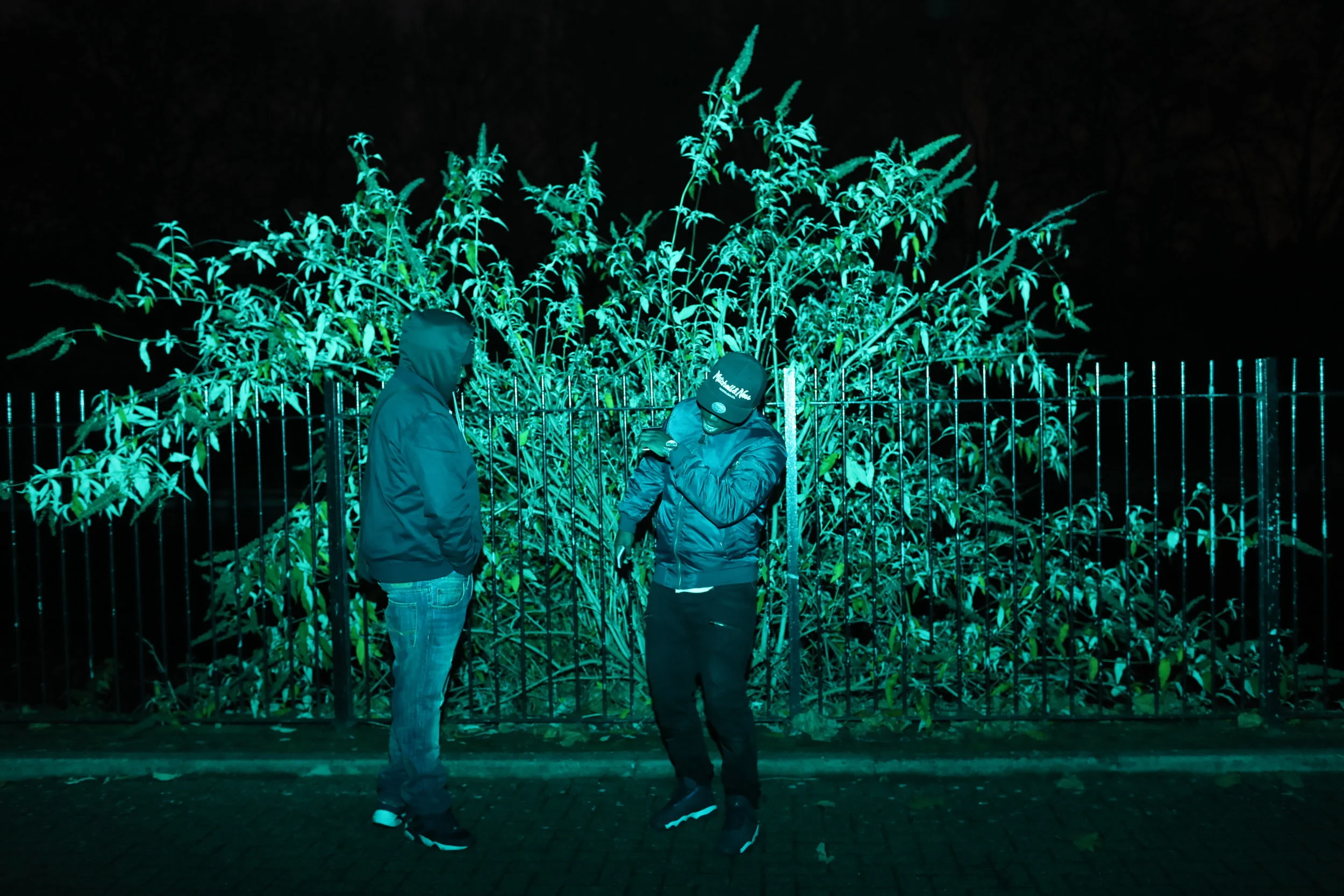 Reverie — Stella Scott