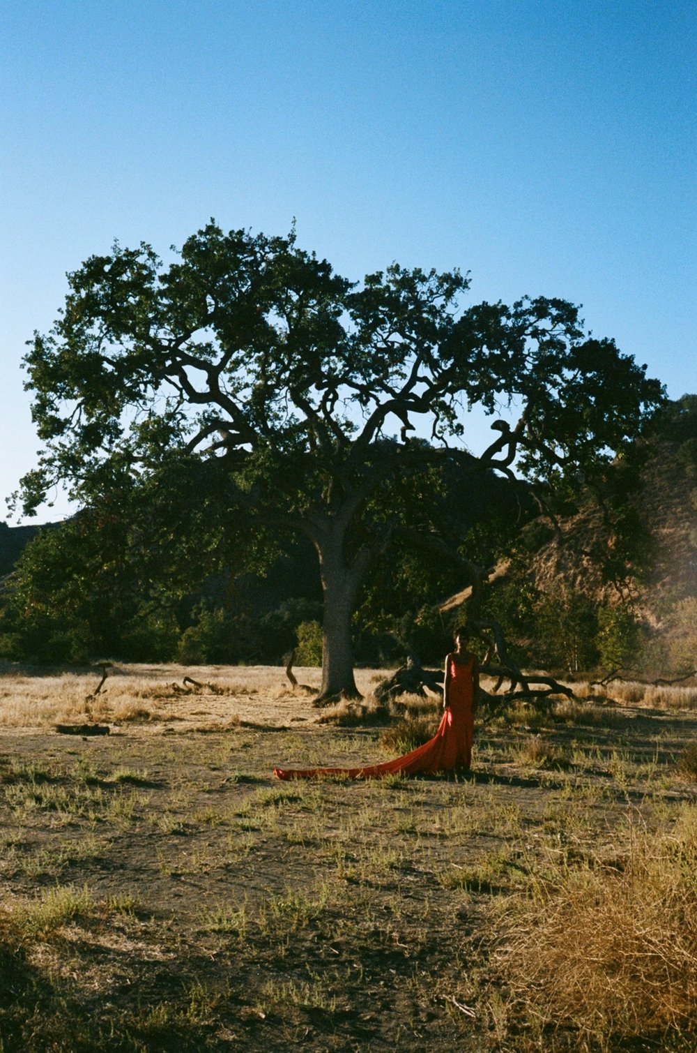 Stella Scott