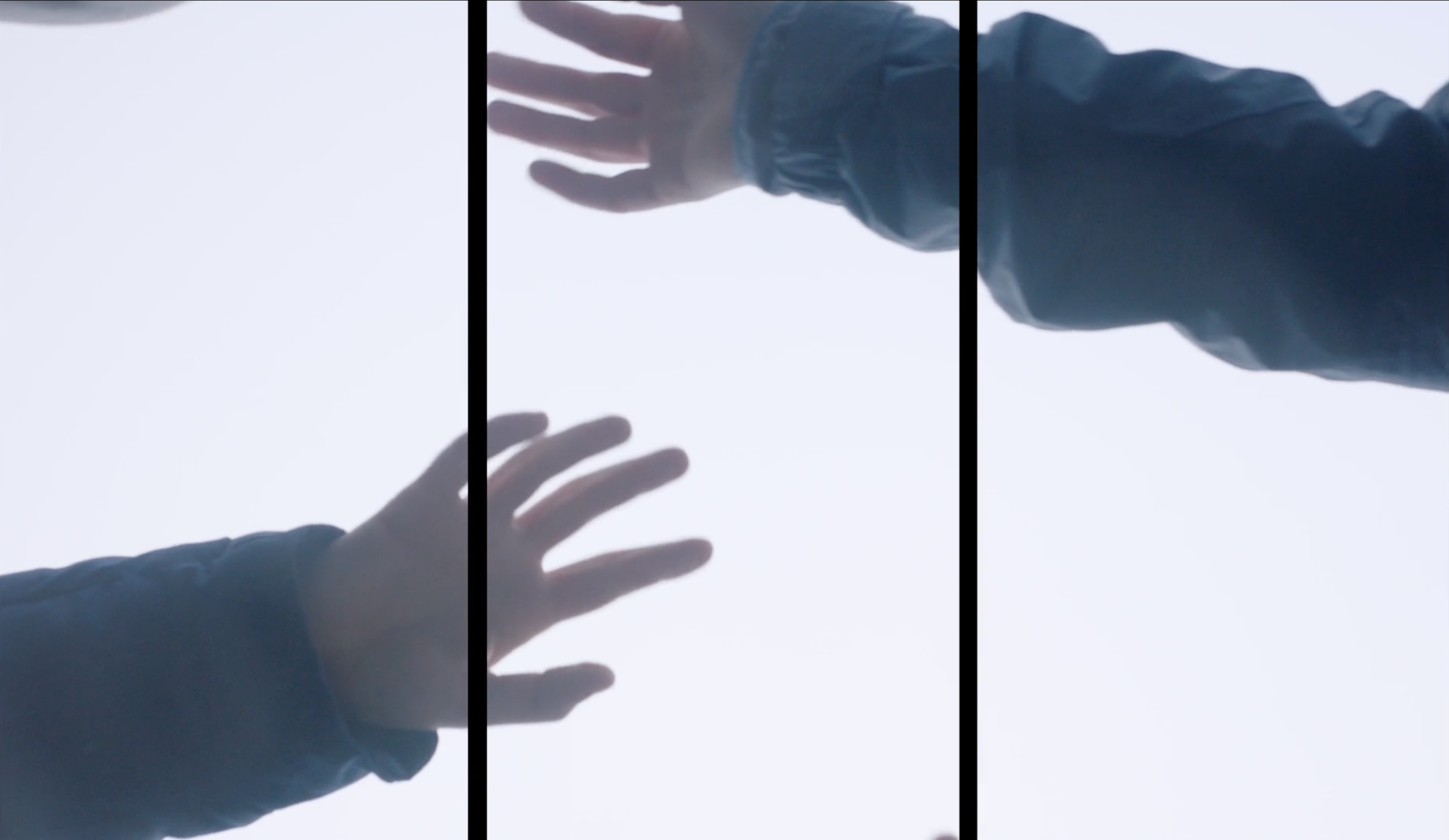 Featured Work — Stella Scott