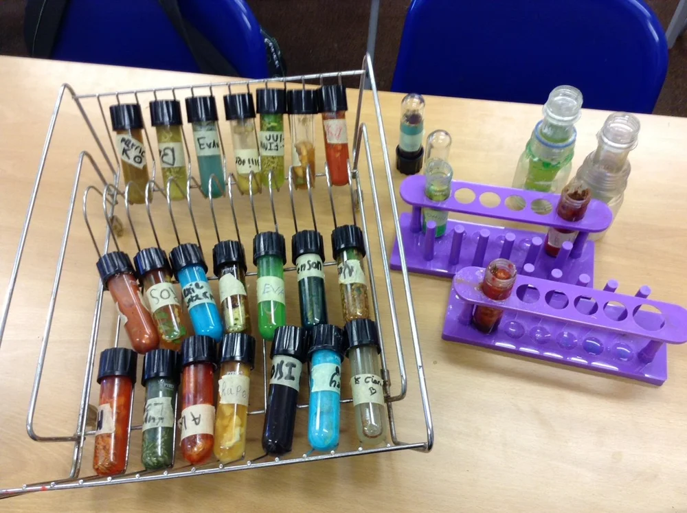 Making potions and testing the speed of liquids. — PLAISTOW AND ...