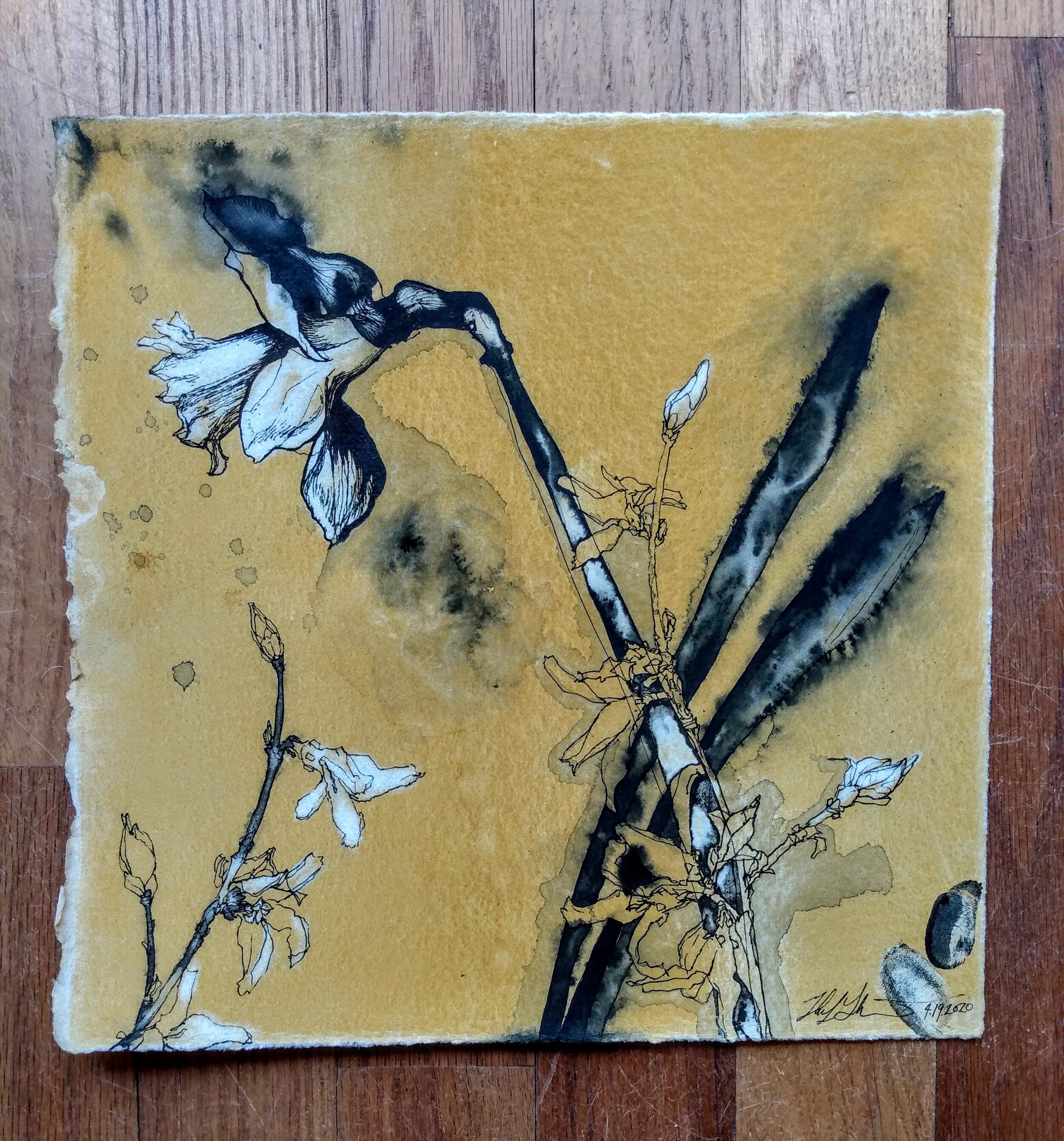 Botanical — Helen Gotlib