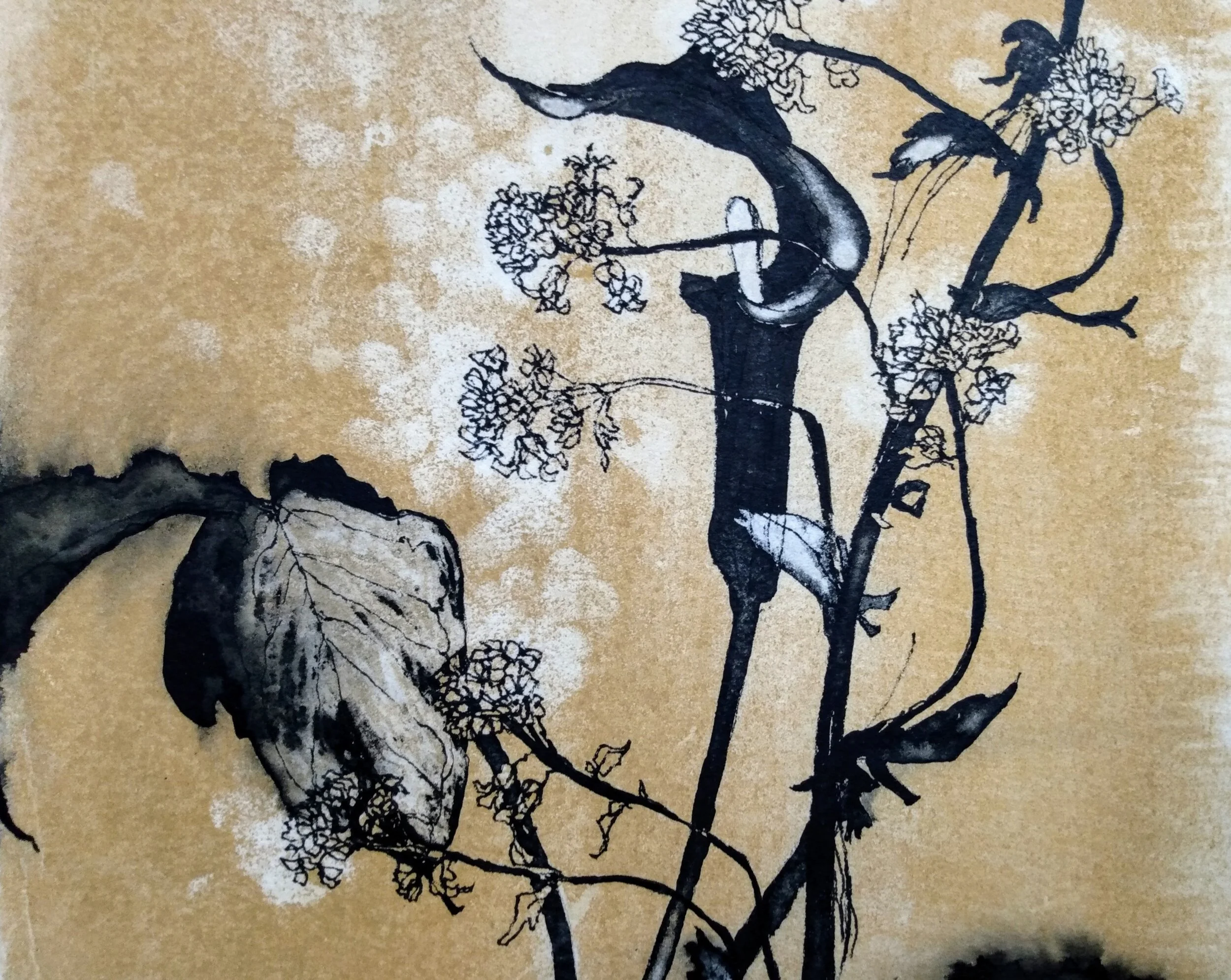 Botanical — Helen Gotlib