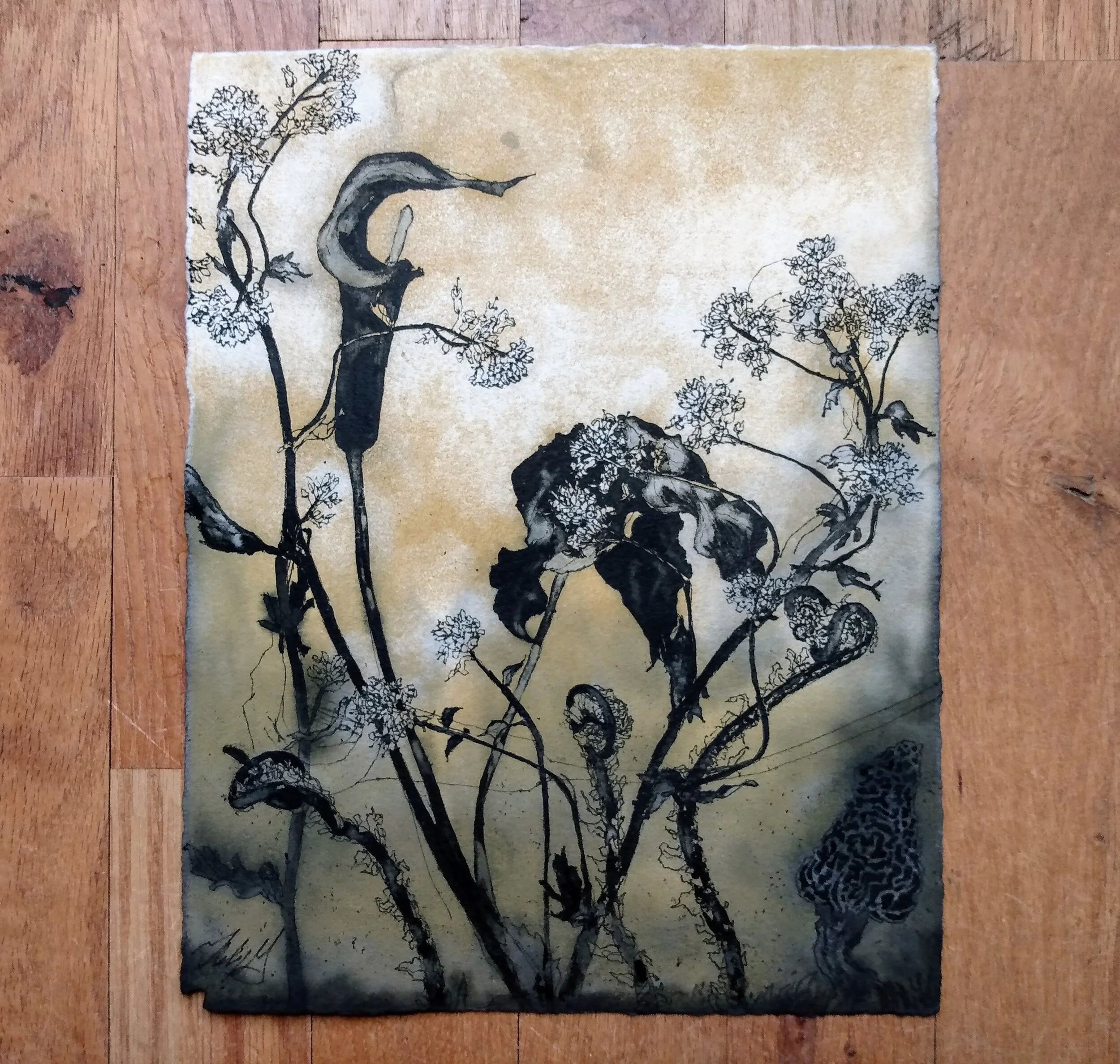 Botanical — Helen Gotlib