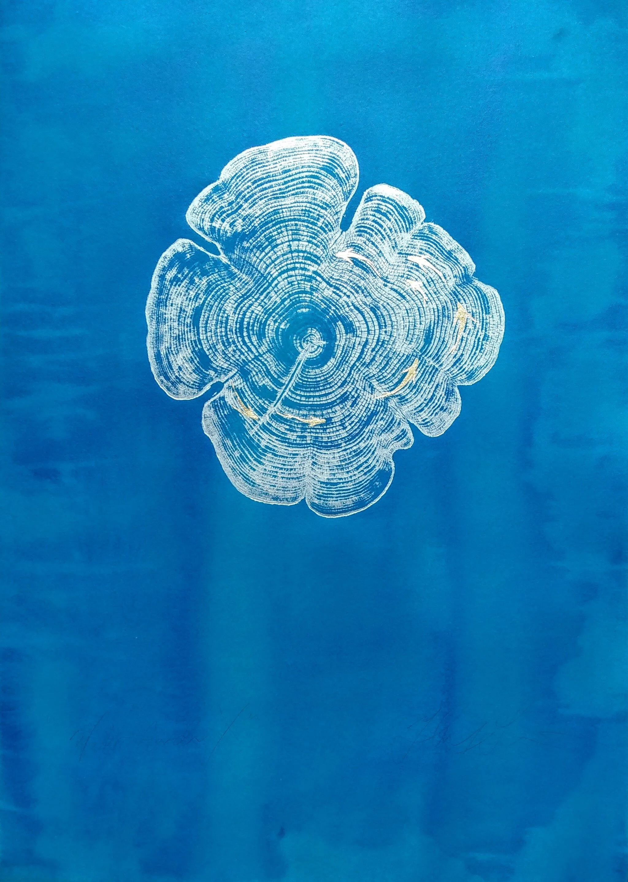 Aquatic — Helen Gotlib