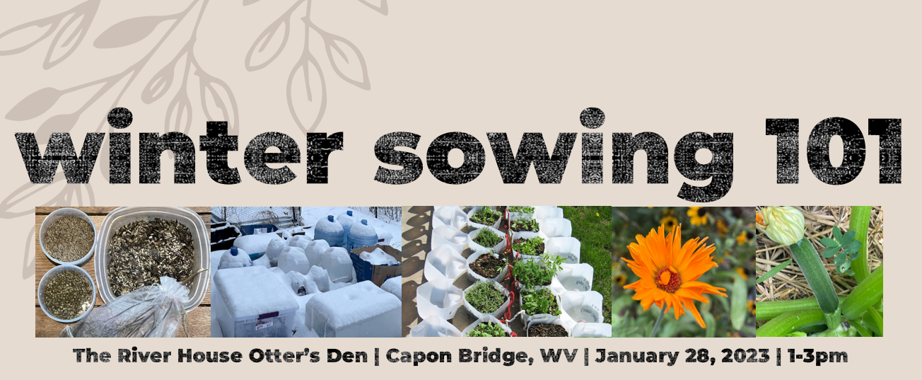 Workshop: Winter Seed Sowing 101 — The River House