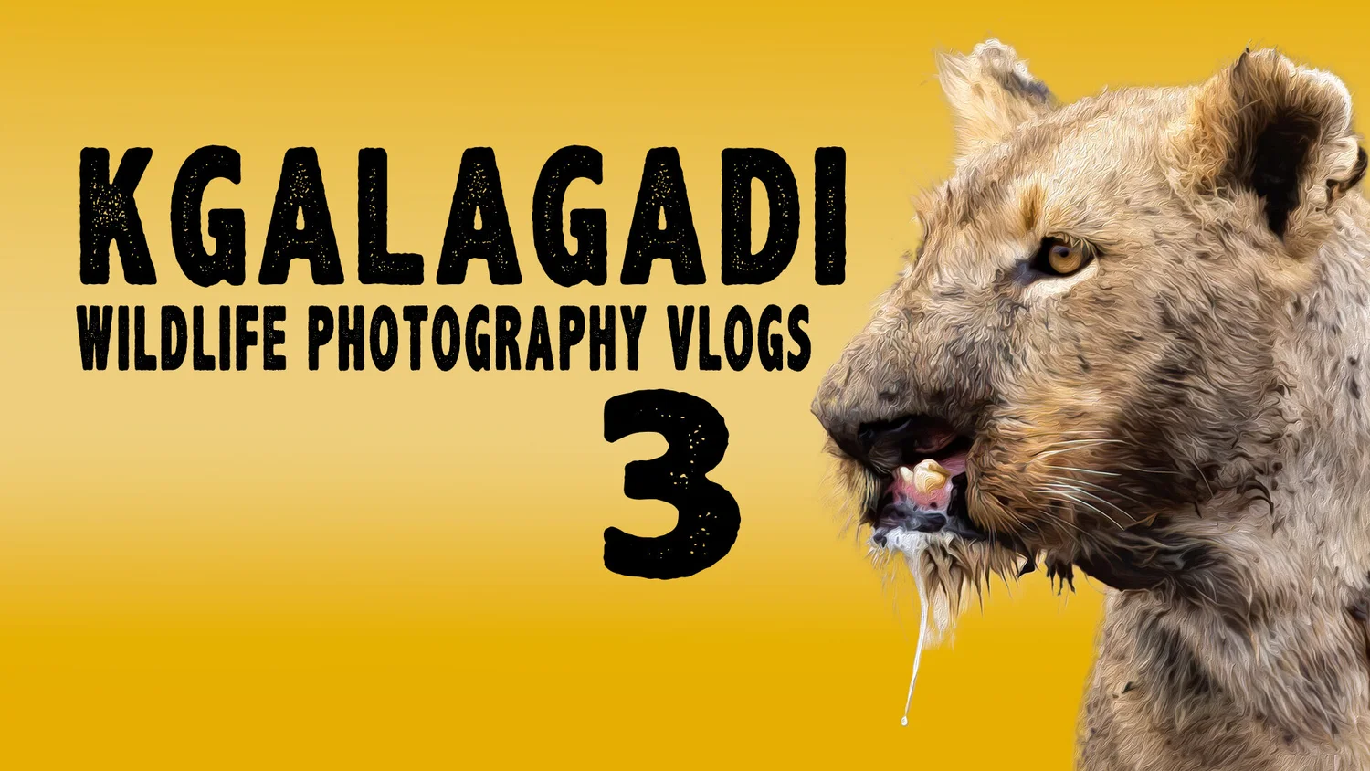 Kgalagadi Transfrontier Park