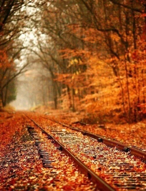 Fall Traditions and Musings — Crazy Blonde Life