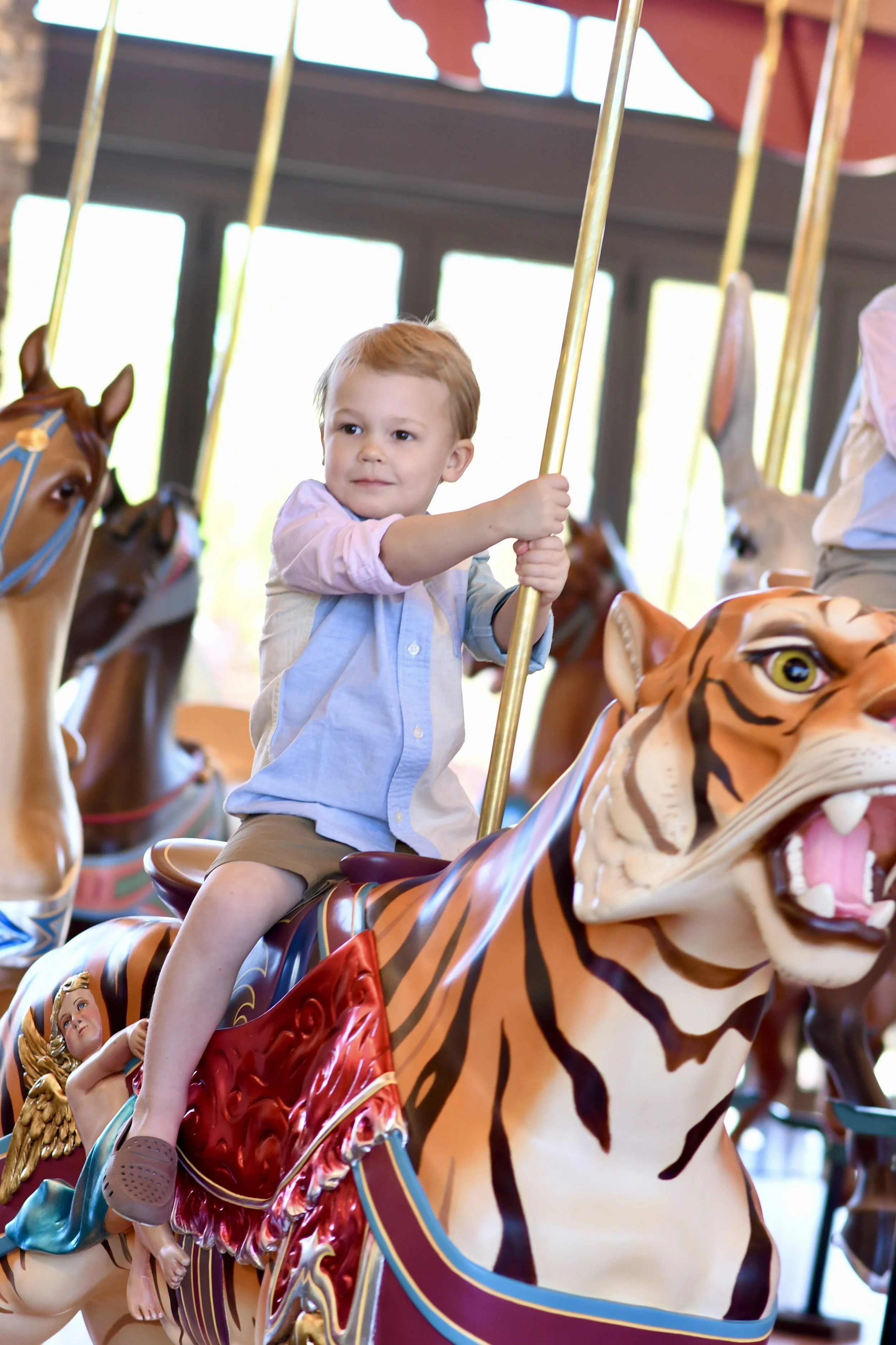 The History of Dentzel Carousels and the Burlington Carousel Festival ...