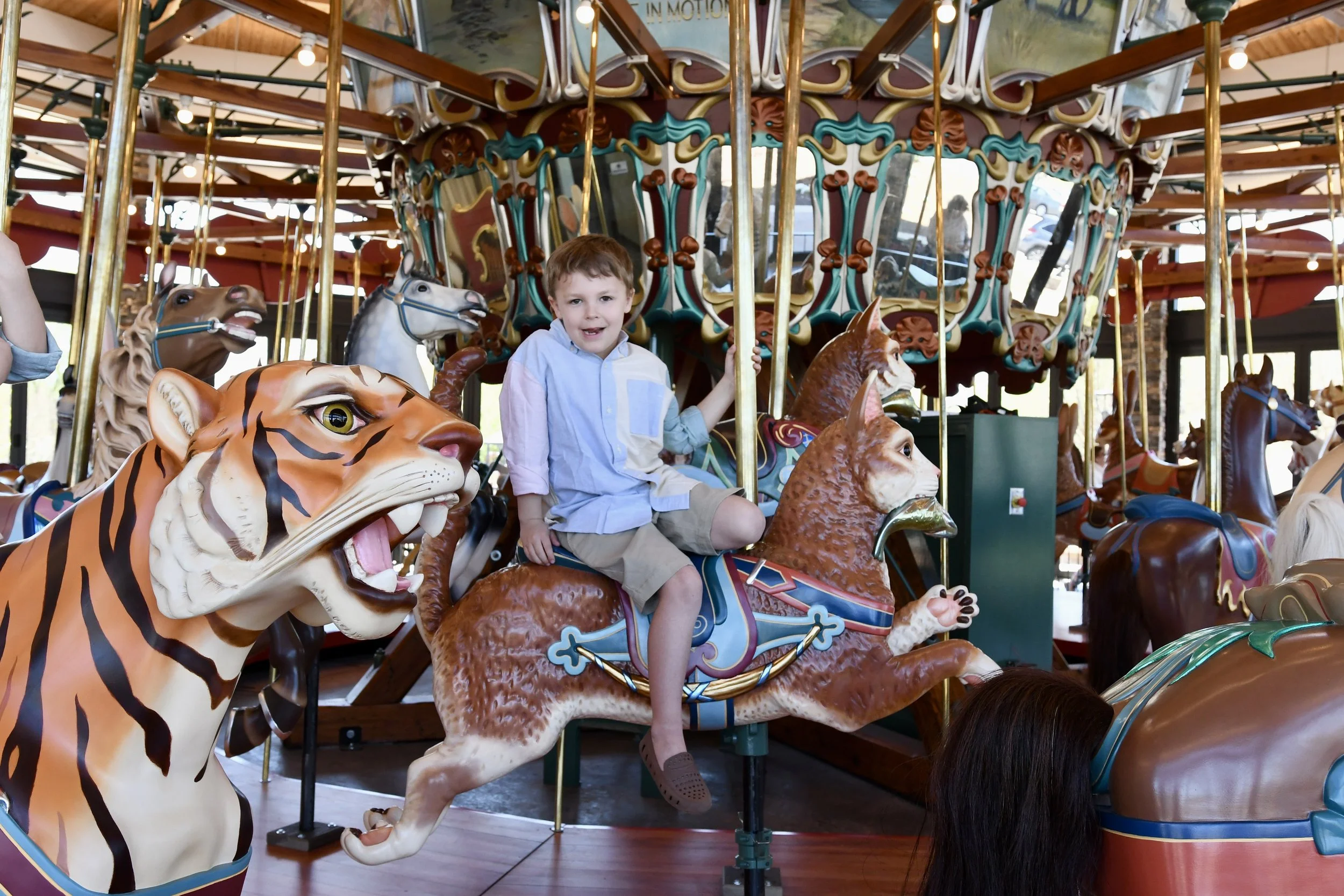 The History of Dentzel Carousels and the Burlington Carousel Festival ...