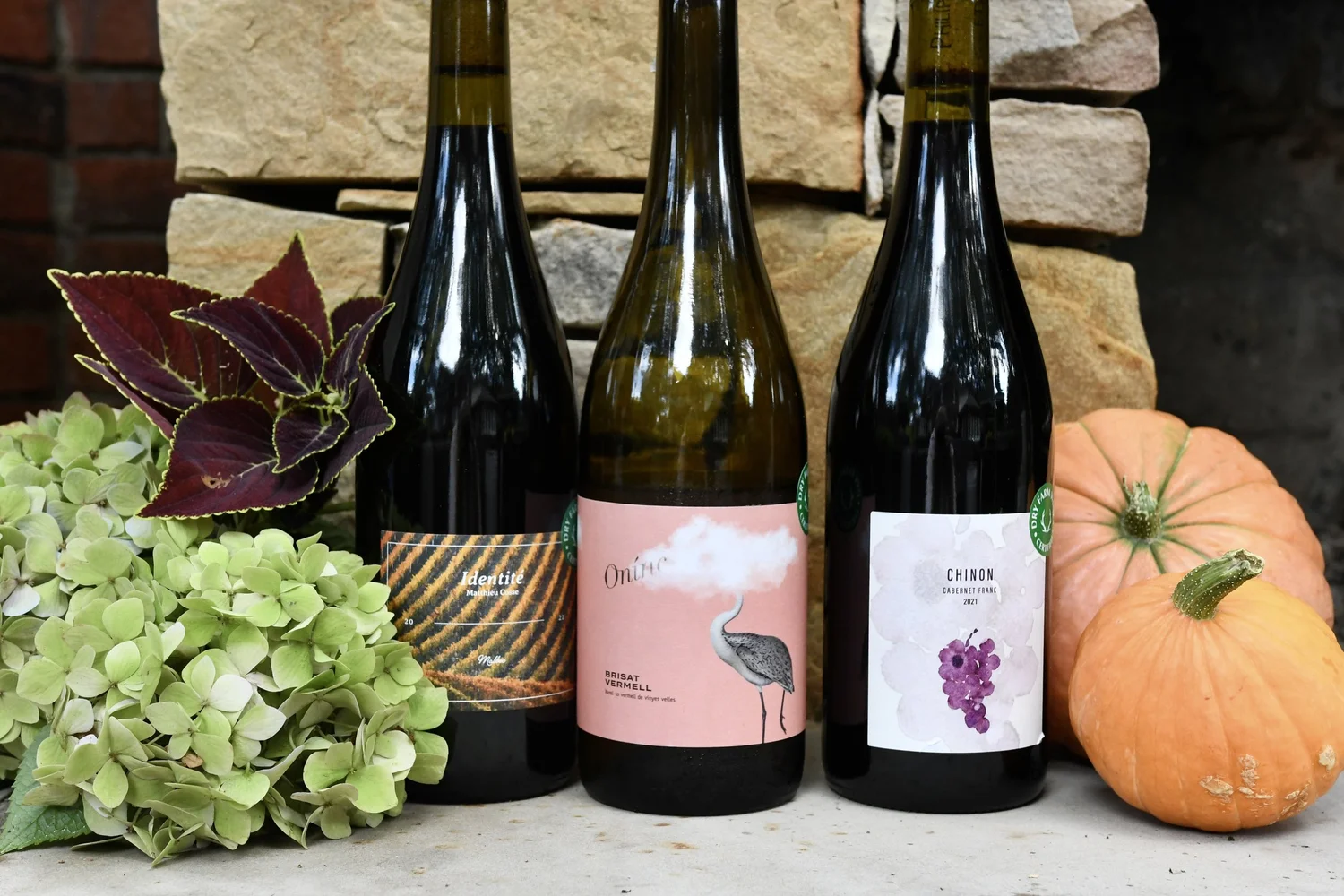 All About the Best Natural Wines - Dry Farm Wines — Crazy Blonde Life