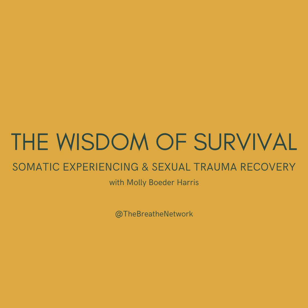 Trauma-Informed Care & Yoga Toolkit — The Breathe Network