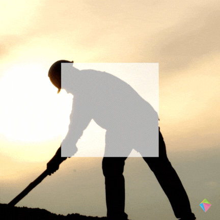 Funds — Bright Funds Foundation