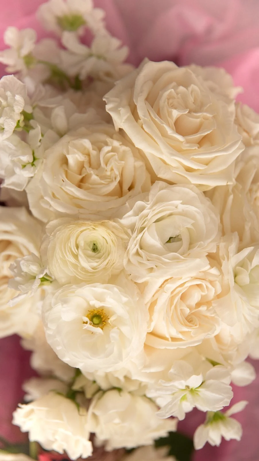 Cierra English Photography | Premier Black Wedding Photographer in New ...