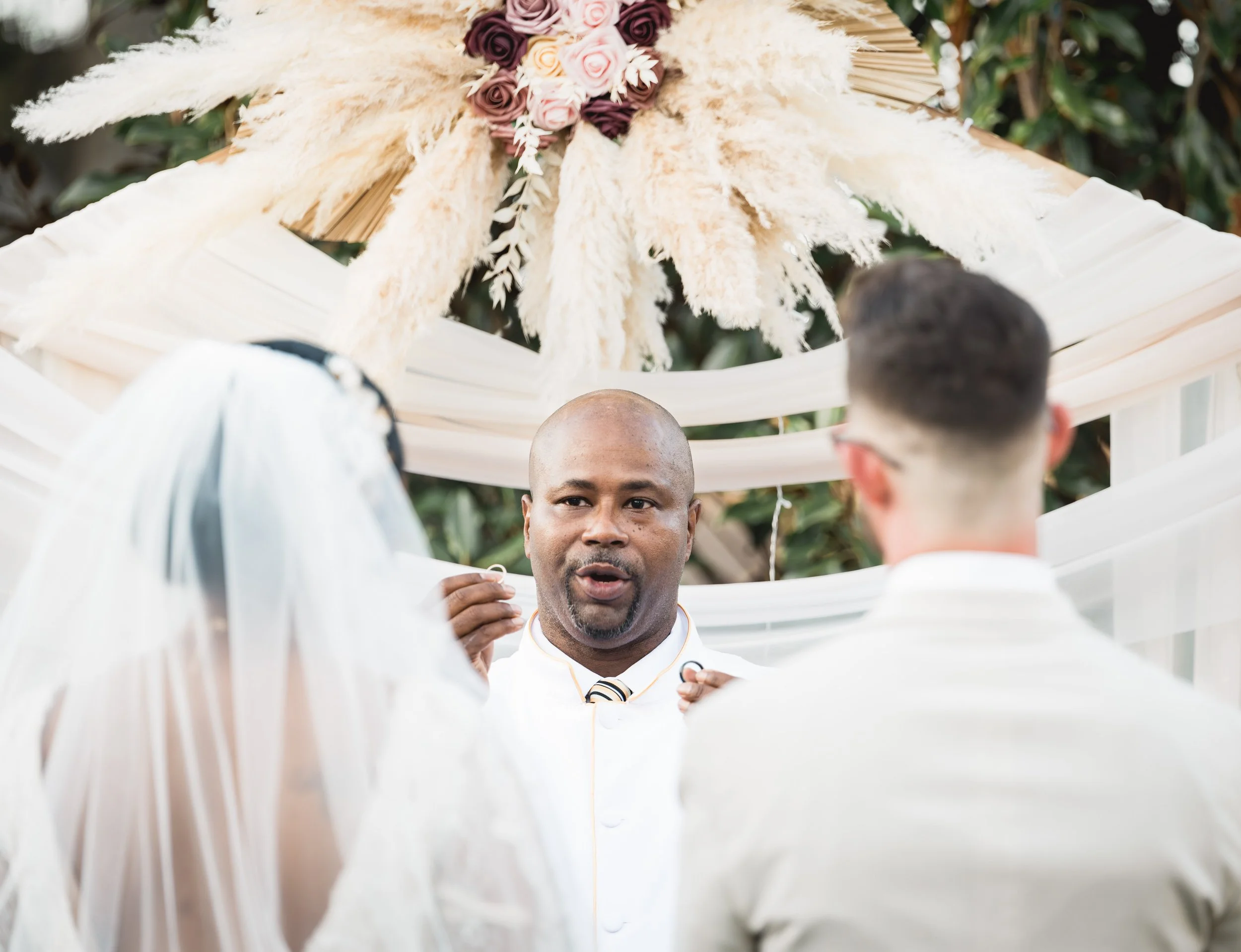 CIERRA ENGLISH PHOTOGRAPHY - Cierra English Photography | Premier Black ...