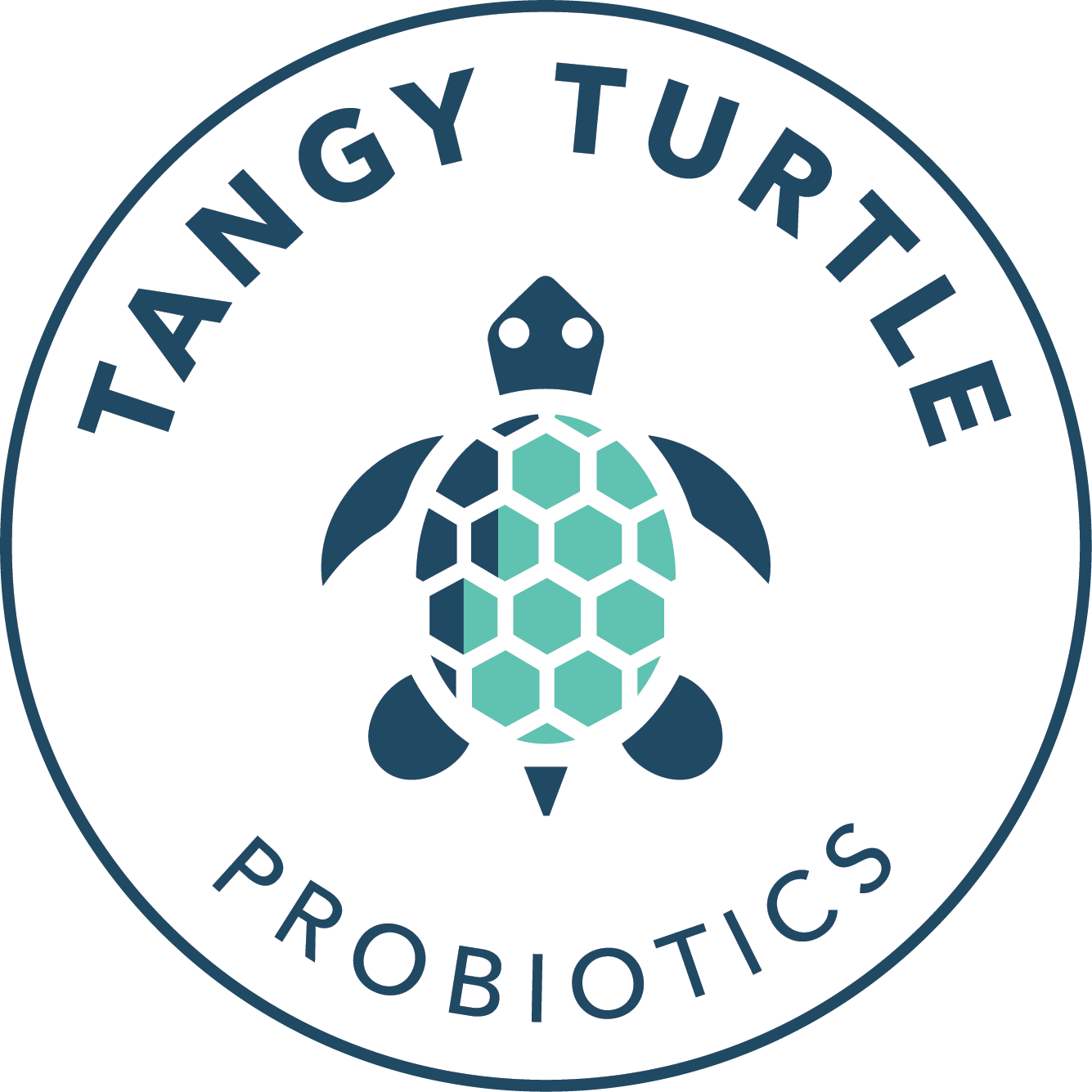 What is Kombucha? — Tangy Turtle Probiotics