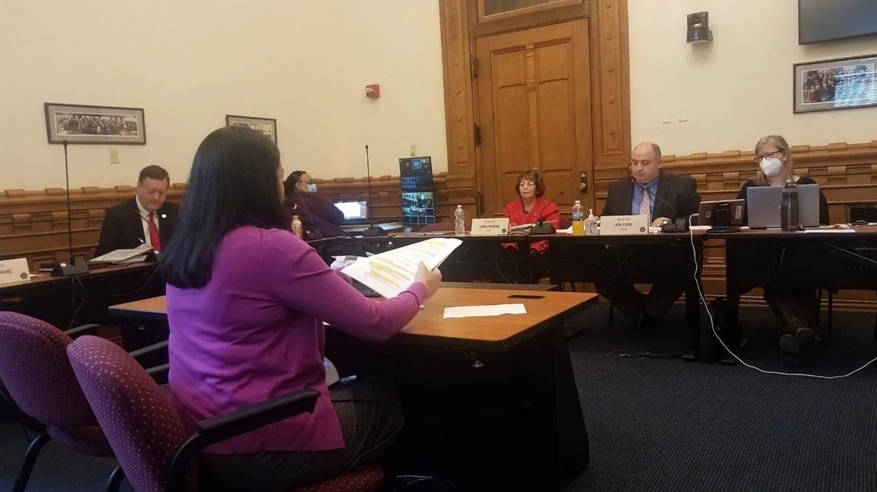 Chicago Lawyers' Committee for Civil Rights