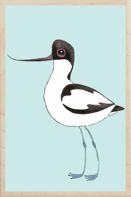 Matt Sewells Birds — Matt Sewell