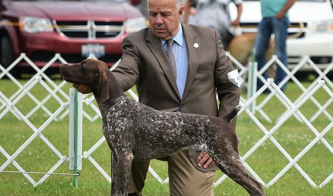 News — German Shorthaired Pointer Club of Illinois