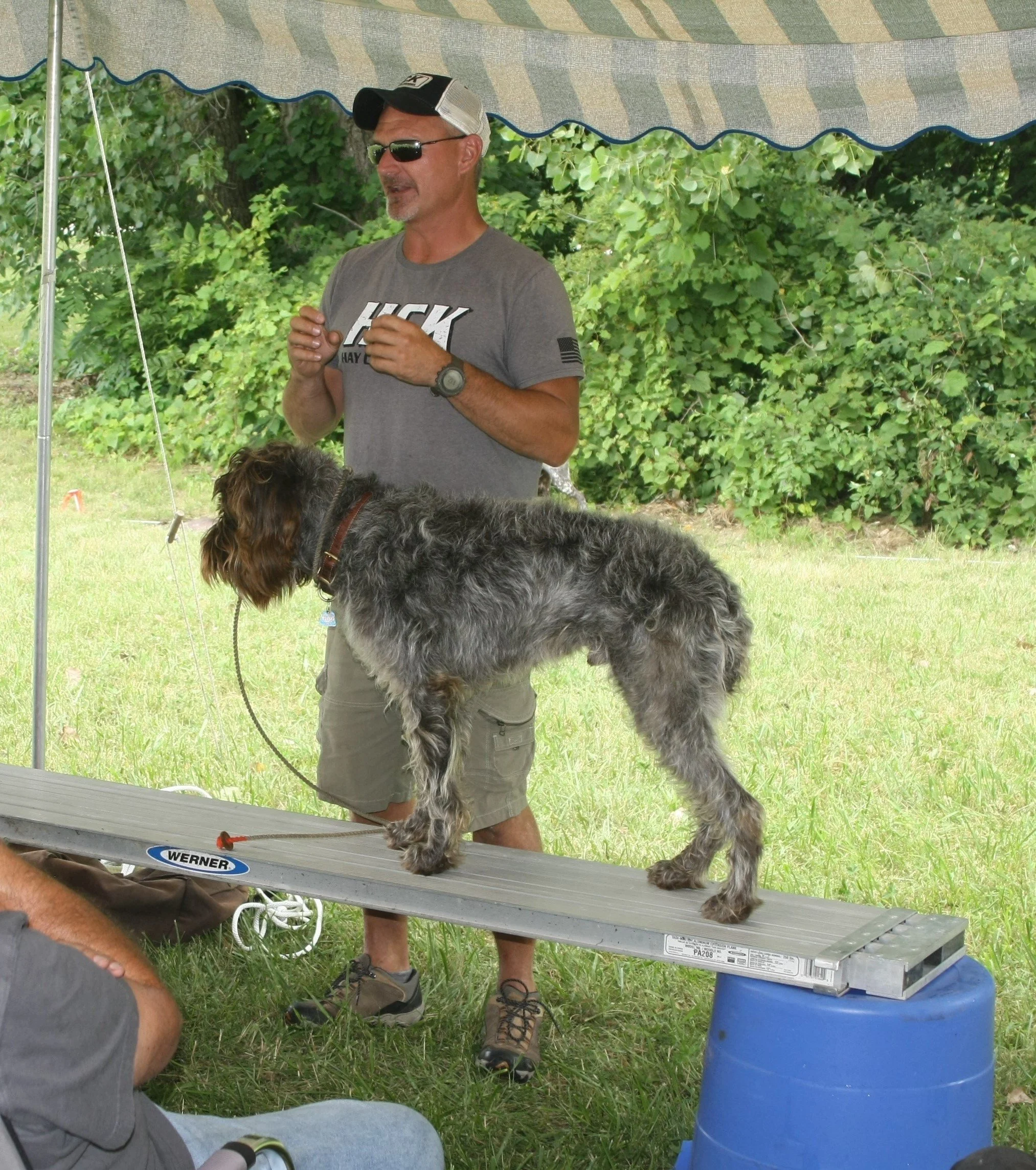German Shorthaired Pointer Club of Illinois