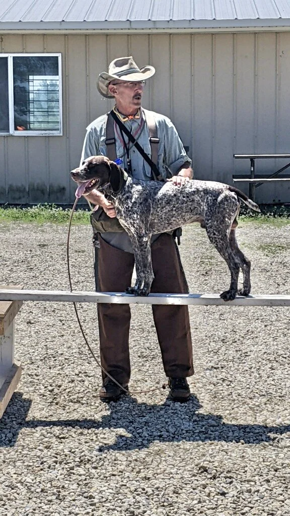 Club Info — German Shorthaired Pointer Club of Illinois