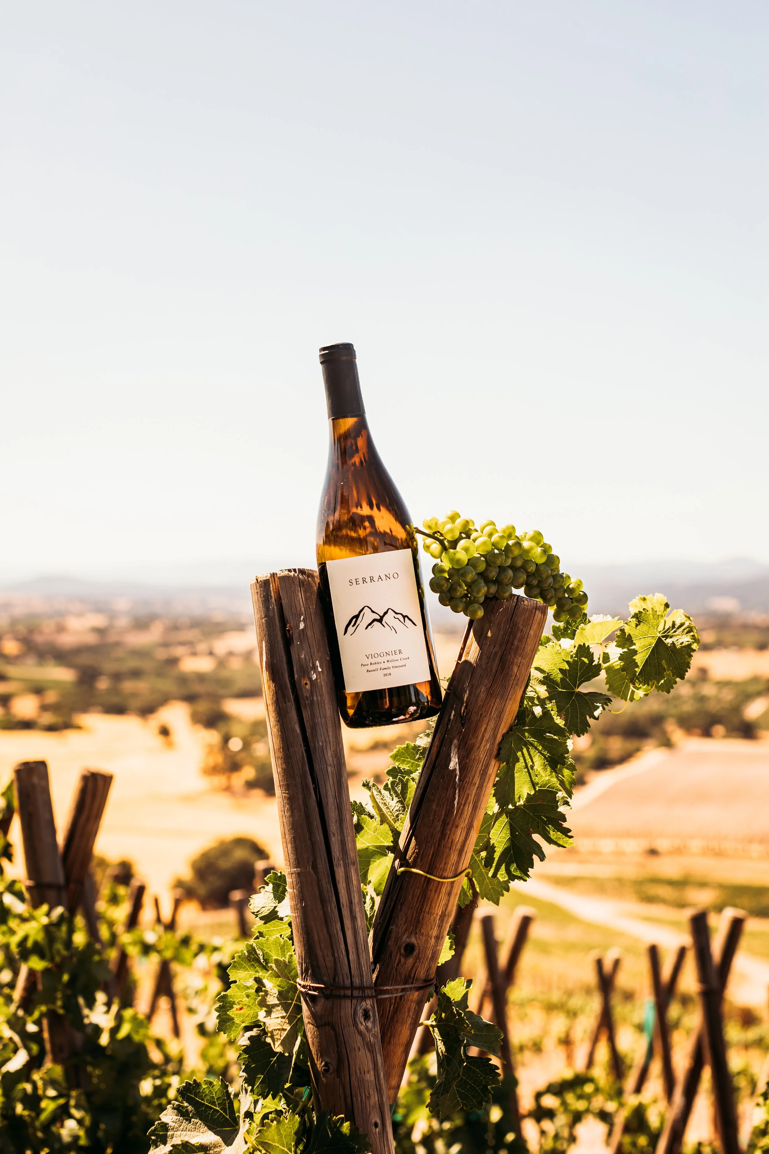 Our Story — Serrano Wine