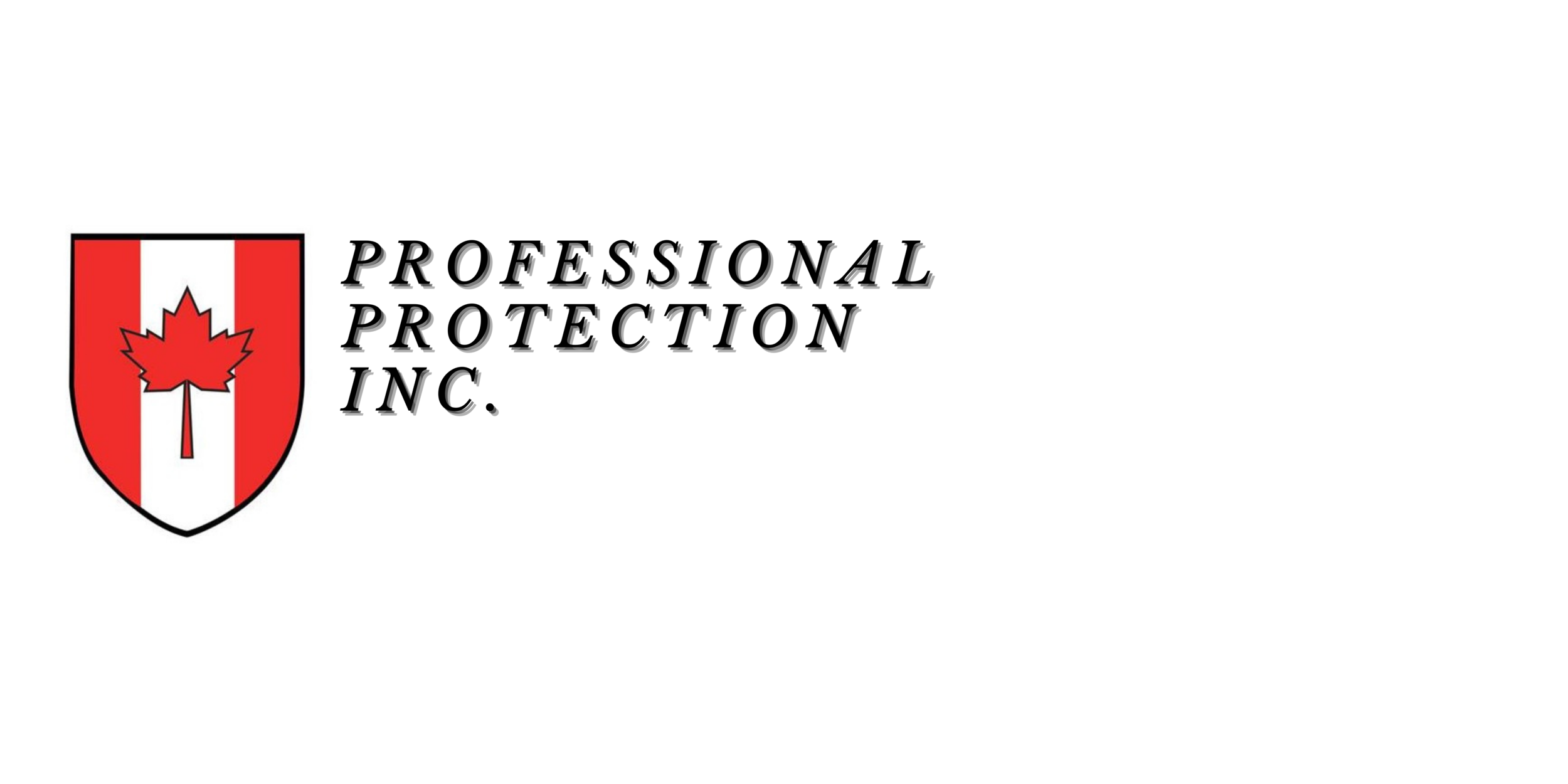 Professional Protection Inc. - Security Services in Niagara Region