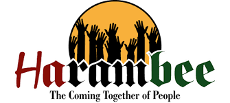 Events — Rough Draft Bar & Books