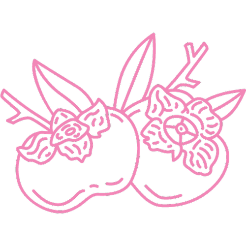 Persimmon (NEW!) | Florecita Flowers | Blooms A La Carte