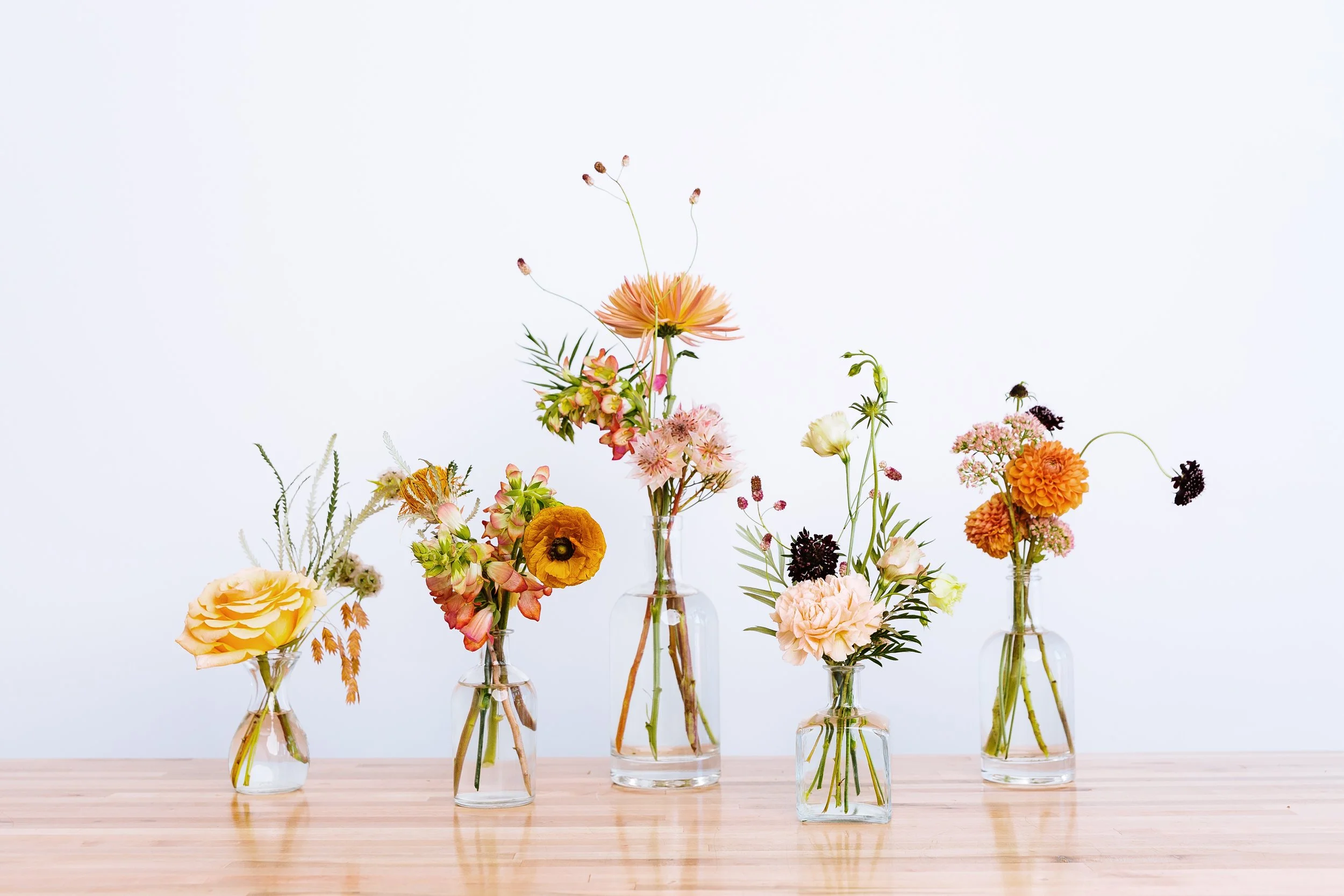 Persimmon (NEW!) | Florecita Flowers | Blooms A La Carte
