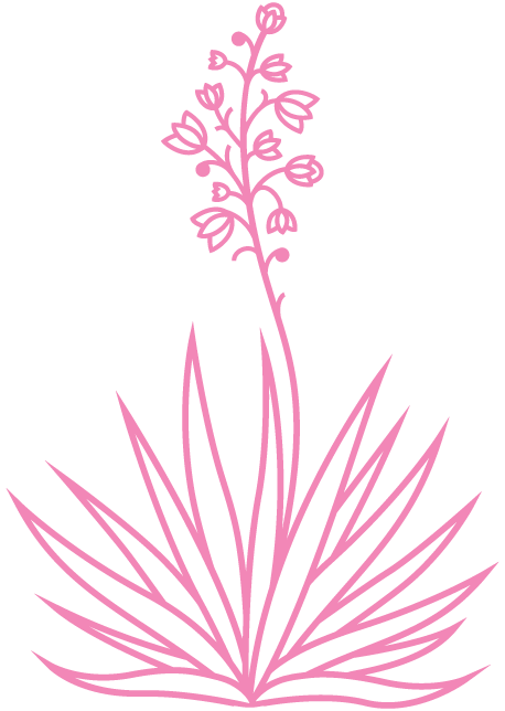 Florecita Flowers | Blooms A La Carte