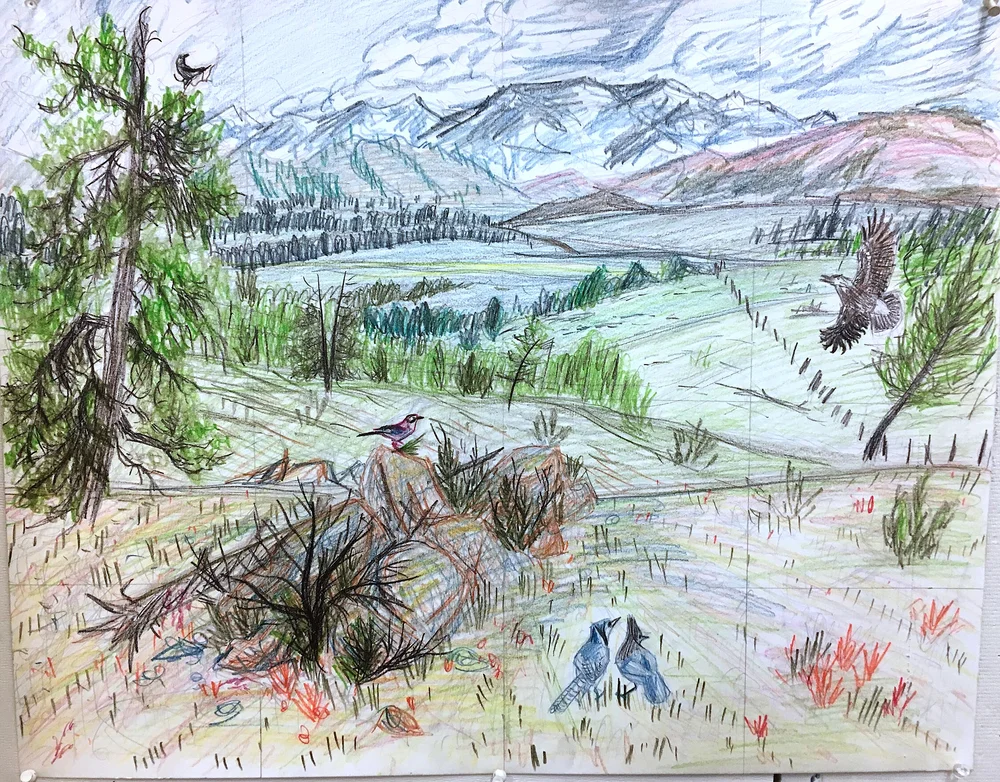 Land Conservation — Centauri Illustration