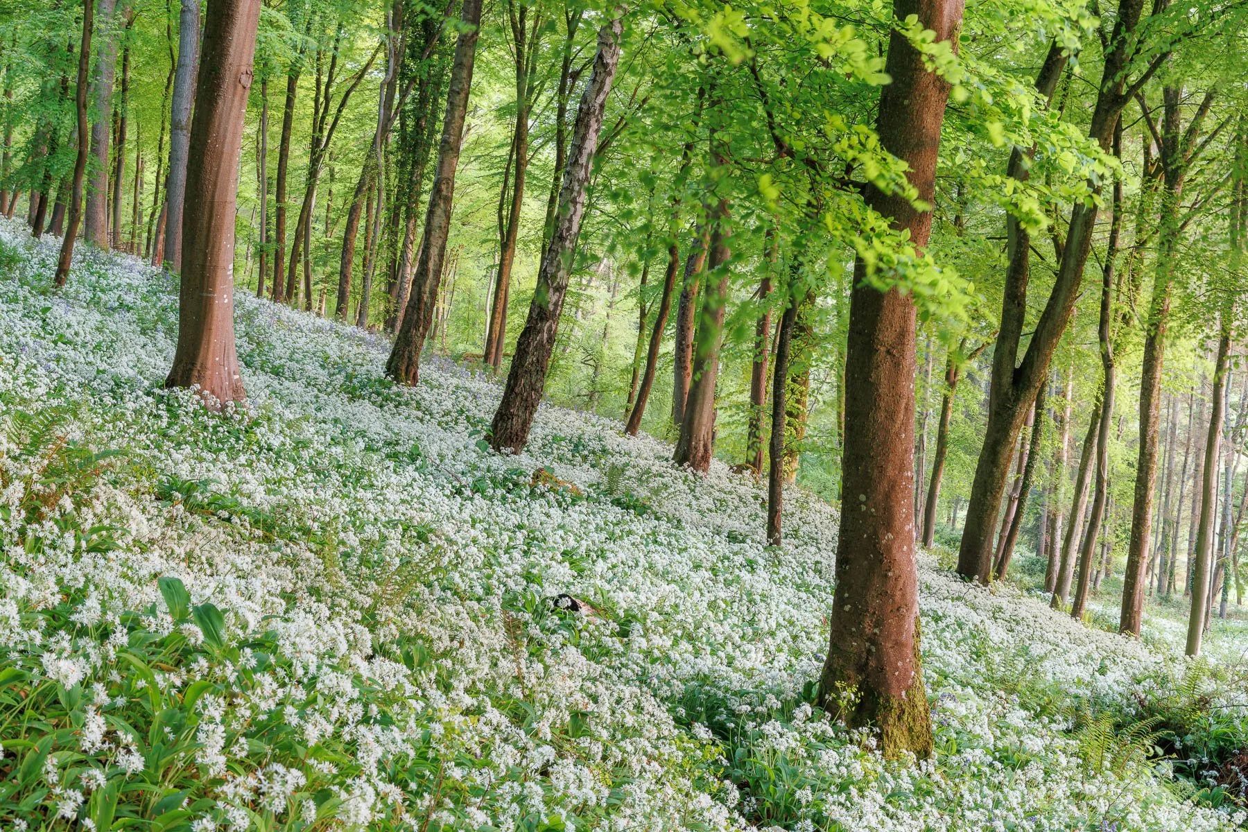 2023 Landscape Photography Workshops | Landscape Photography by Jack ...