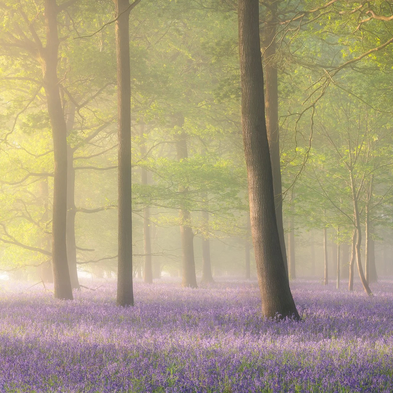 Landscape Photography by Jack Lodge | Dorset Landscape Photographer