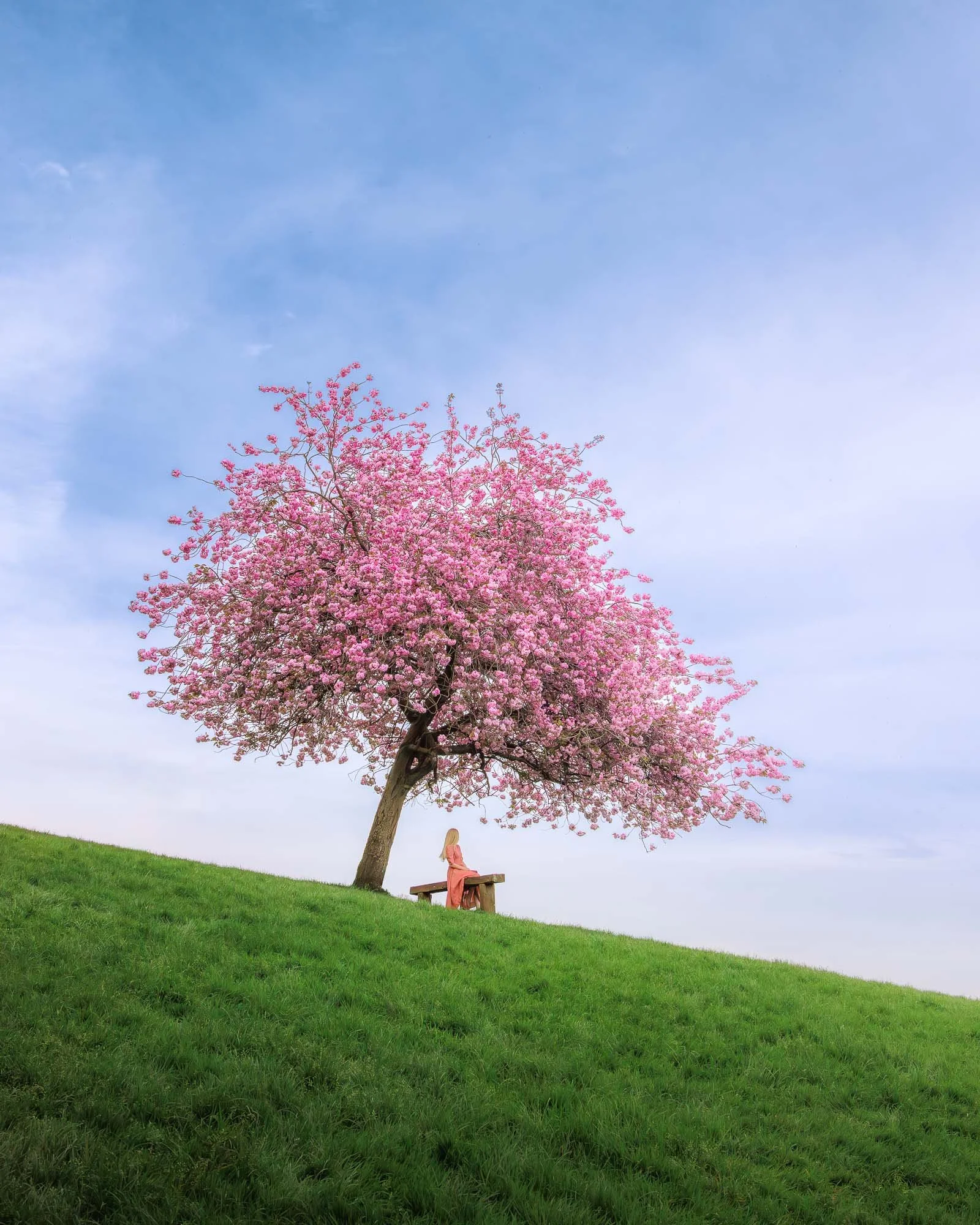 Spring Collection | Landscape Photography by Jack Lodge | Dorset ...