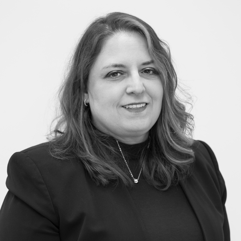 Professionals — Murphy Schiller & Wilkes LLP